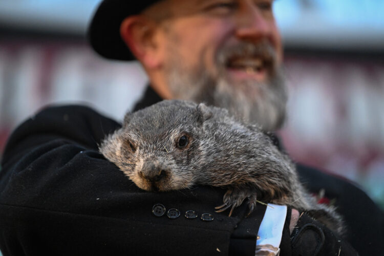 Punxsutawney Phil calls for more winter; Buckeye Chuck disagrees | News ...